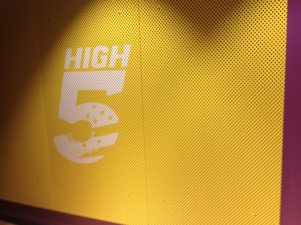 High5 Wien - Fitness & Functional Training - diegesundheitsexperten