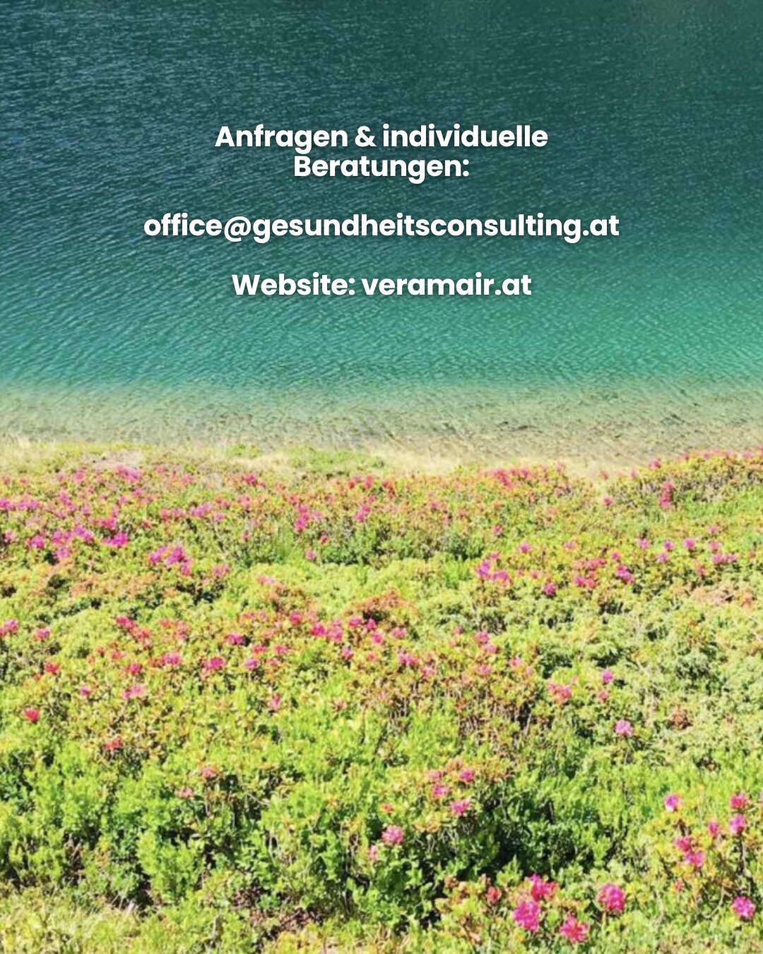 Buchtipp: Genial ernährt! von Dr. Yael Adler - diegesundheitsexperten